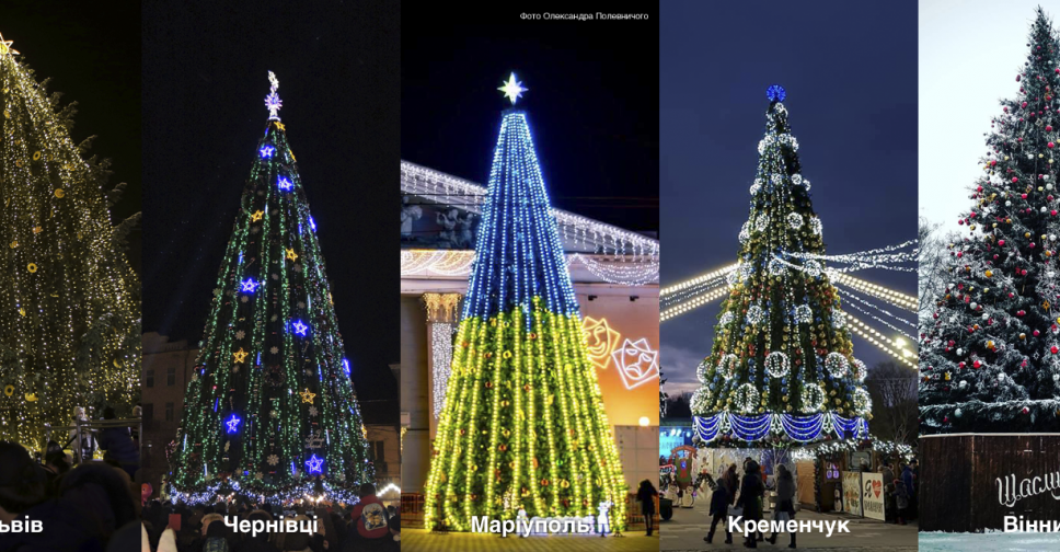 Мариупольская елка сражается за звание «Мисс Елка-2017»: нужна ...